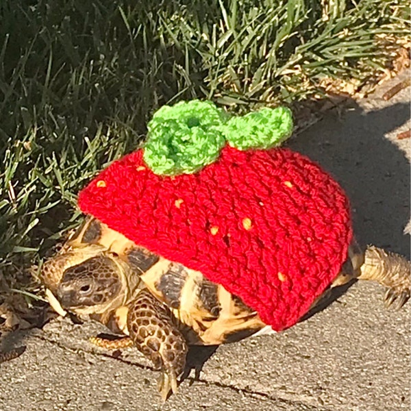 Crochet Strawberry Costume for Turtles/ Tortoises - Etsy