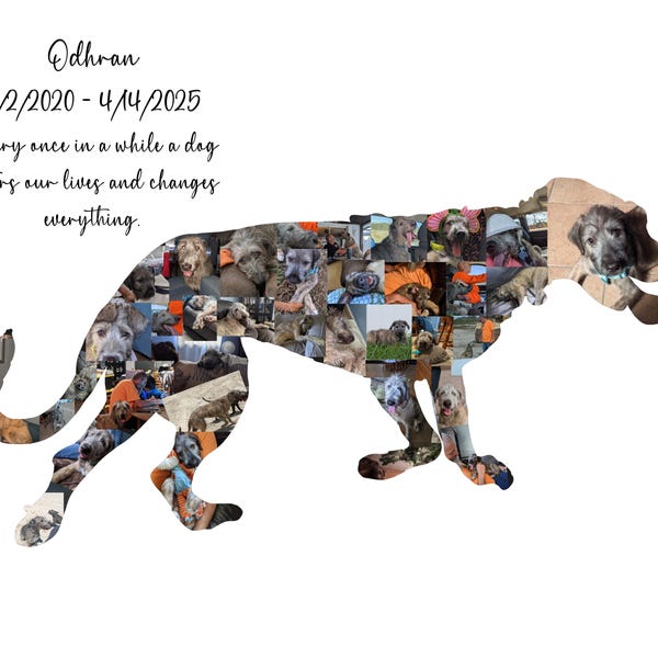 Farewell Custom Gift Collage, Coworker Leaving Gift, Moving Away Gift ...