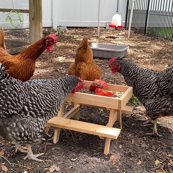 Chicknic Picnic Table for Chickens - Etsy