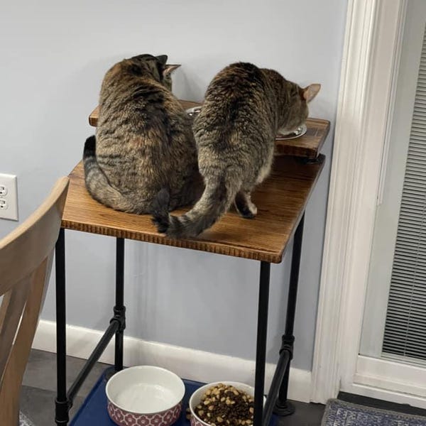 Elevated Cat Food Station - Etsy