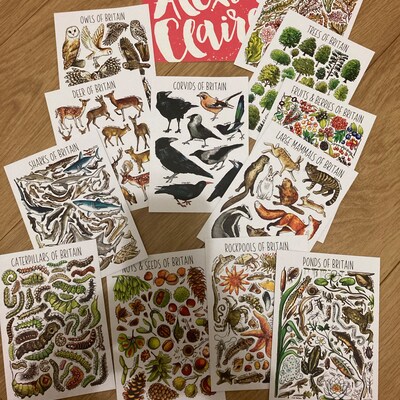 Back to School Clipart Hand Drawn Doodle Clipart Vector School Doodles ...