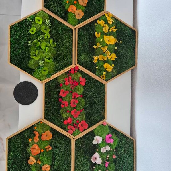 Moos-Hexagon mit Farn Amaranth geöltem Rahmen sechseckige Mooswabe mit ...