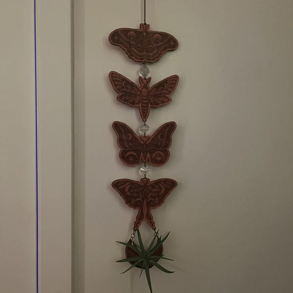 Celestial Moth Hanging Airplant Holder Ornament Wall Hanger Stars Moon ...