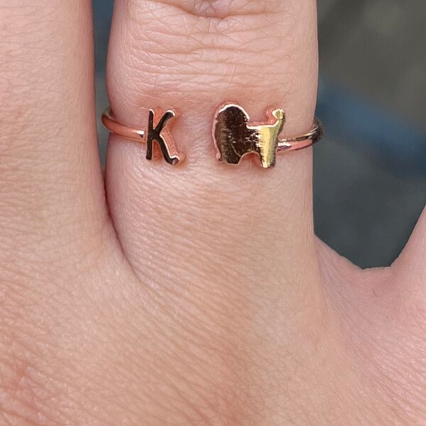 Custom Dog and Cat Ring • Family Animal Jewelry • Duo Initial Pet Ring ...