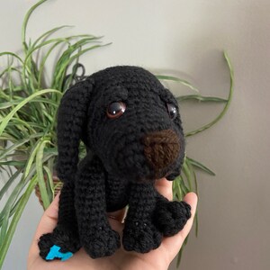 Labrador Dog Amigurumi Crochet Pattern Labrador Retriever | Etsy Canada