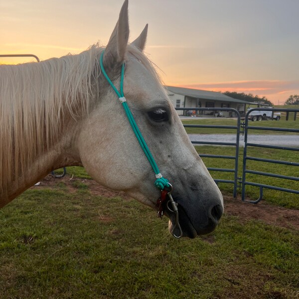 Rope Headstall - Etsy