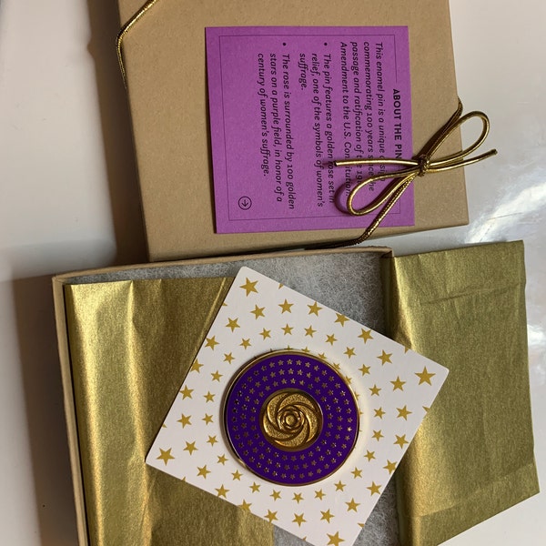 19th Amendment Centennial Pin -- Women's Suffrage Pin -- United States ...