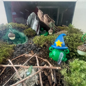 Star Moss Tortula Ruralis - Etsy