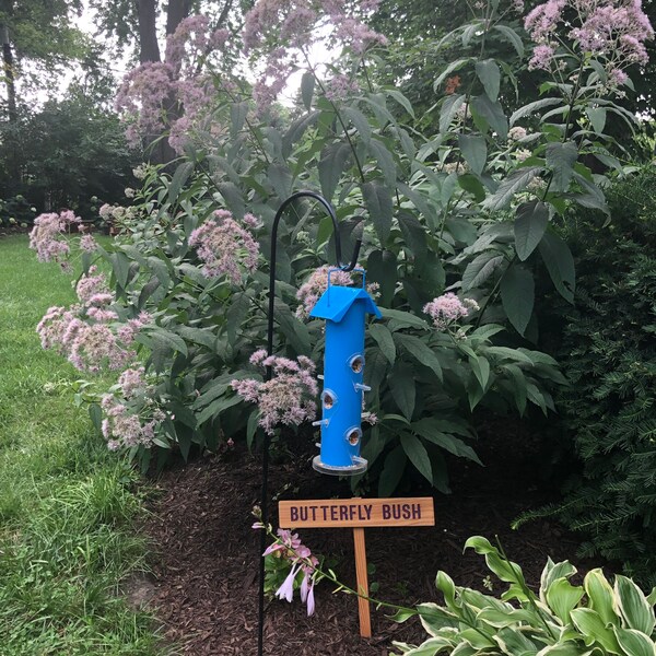 BUTTERFLY BUSH Sign, Flower Marker, Outdoor Sign, Yard Art, Plant Label ...