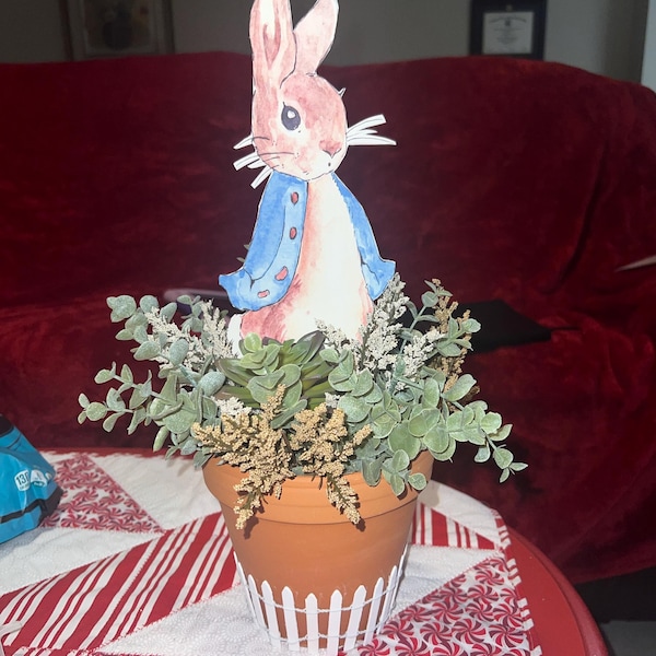 Peter Rabbit and Flopsy Bunny in Blue Jacket for Sublimation, A3 ...