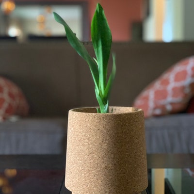 Walnut Bell Vase - Etsy UK