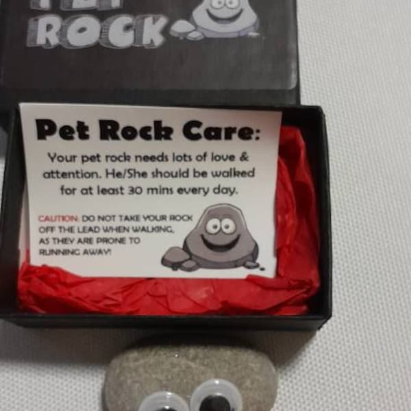 Small Pet Rock With Carry Case & Care Guide - Fun Novelty Gift for ...