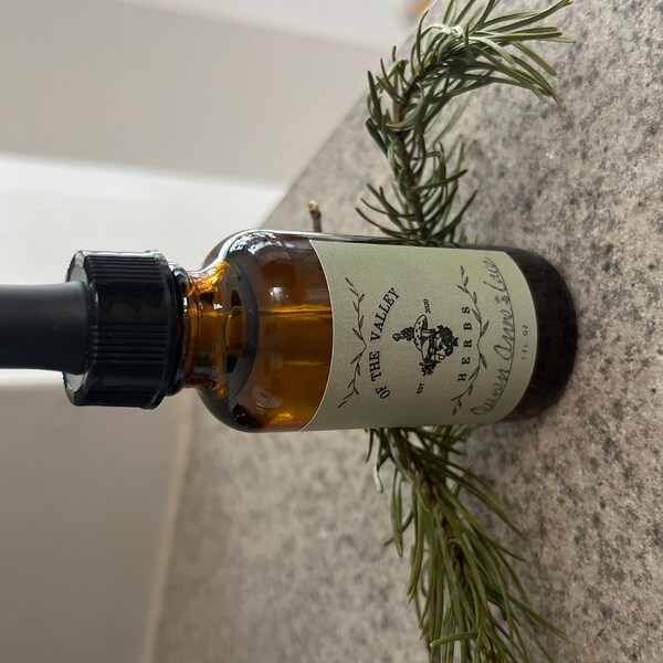 Dyeball Mushroom (pisolithus Arhizus) for Natural Dyeing // Dyes ...