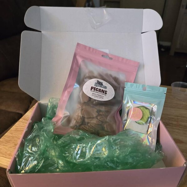 Airplane Wax Embeds, Plane Embeds, Wax Planes, Wax Embeds, Unique ...