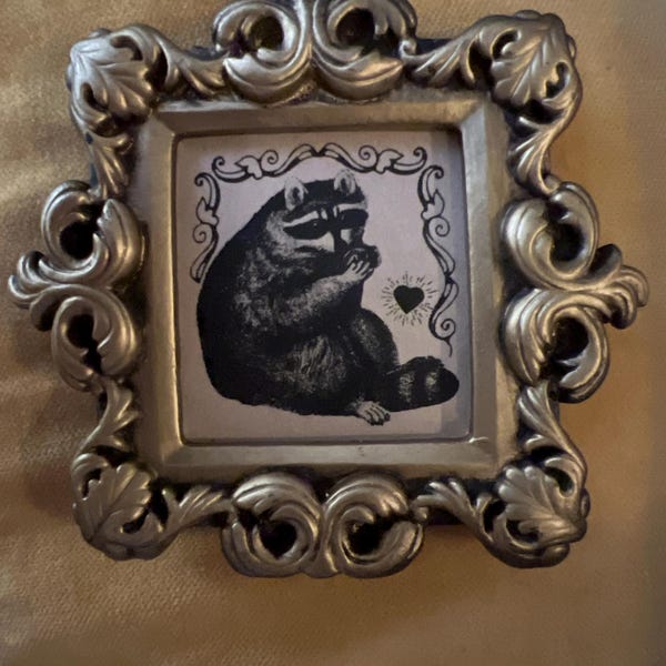 Raccoon Print in Baroque Frame: Vintage Style Mini Art - Etsy