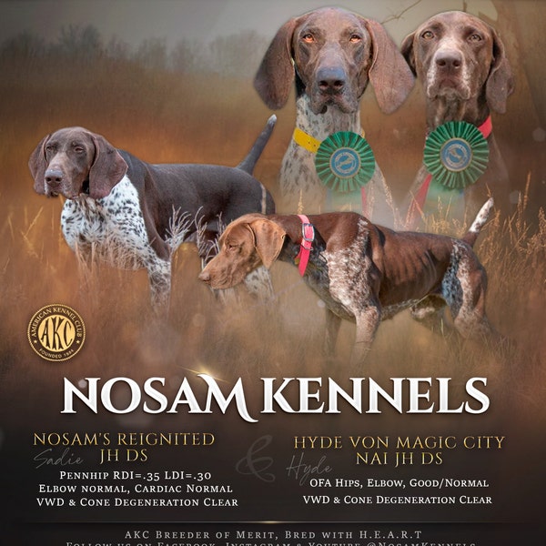 CUSTOM Graphic Design for Breeders | Stud Dog | Planned Litter ...