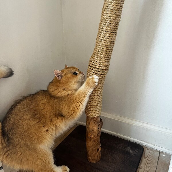 Unique Scratching Post, Cat Climbing Tree With Toys, Solid Wood ...