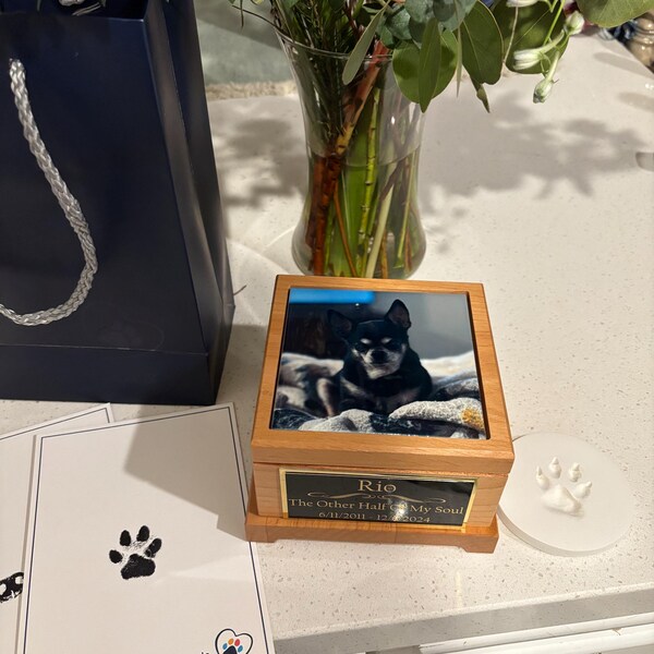 Trash Talker Trophy Award Galvanized Garbage Can Take Out the Trash ...