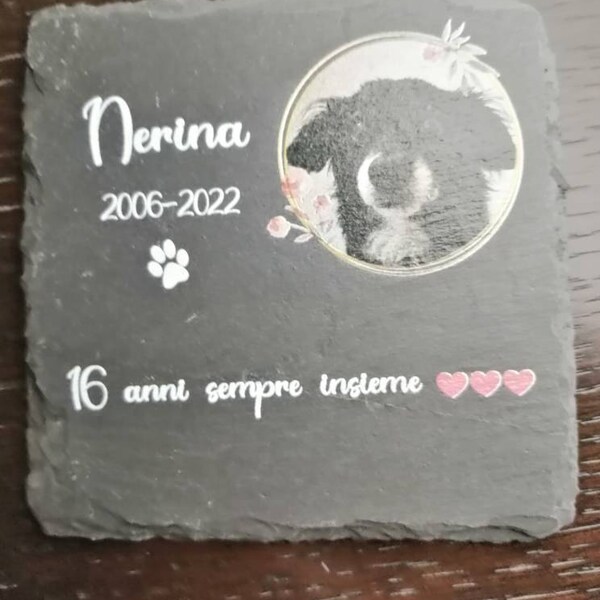 Animated Cat Movie Flow T-shirt for Friend Flow Cat White Shirt Cat T ...