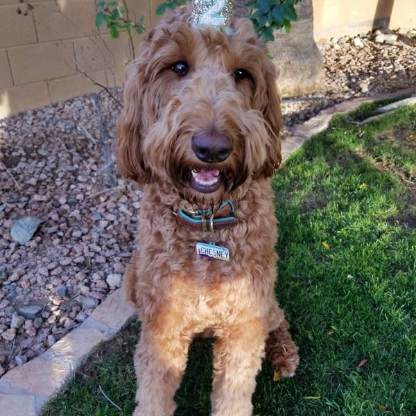 Arizona License Plate Custom Pet ID Tag - Dog ID Tag - Personalized Pet ...