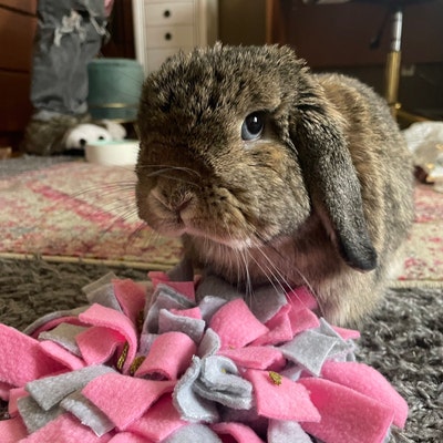 Bunny Snuffle Mat & Homemade Treats for Rabbit, Foraging Mat - Etsy