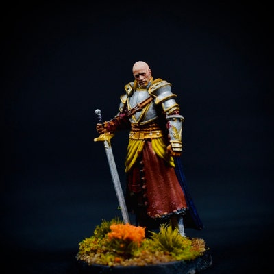 Dnd Pathfinder Male Human Paladin Fighter Unpainted Miniature - Etsy
