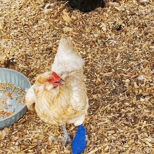 Duck splint/ Chicken splints Large-multiple size options | Etsy