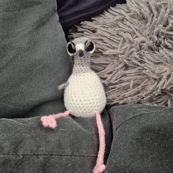 DIGITAL DOWNLOAD Pigeon Toy Crochet Pattern - Etsy