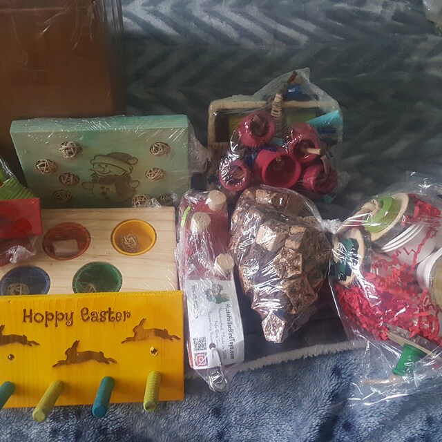 HootnHollerBirdToys | Etsy