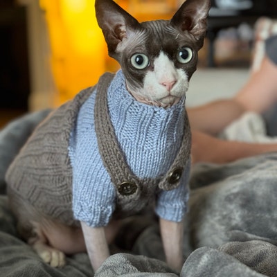 Cat Hat Hand Knit Pet Beanie Sphynx Cat Accessories Crochet Hat for ...
