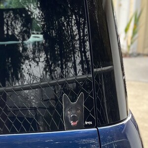 US Coast Guard Force Logo Decal - Etsy