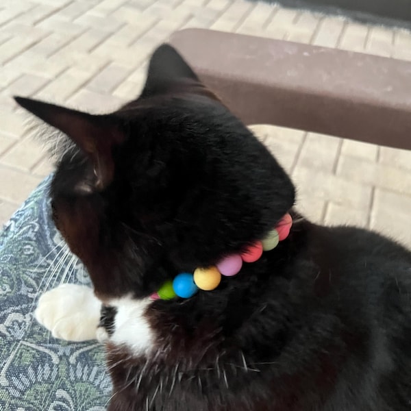 Custom Beaded Cat Name Collar, Fancy Designer Kitty Necklace ...