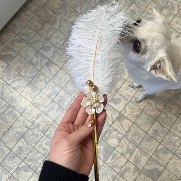 Desi Wedding Props Dholki Photobooth Props Pakistani Wedding Photo ...