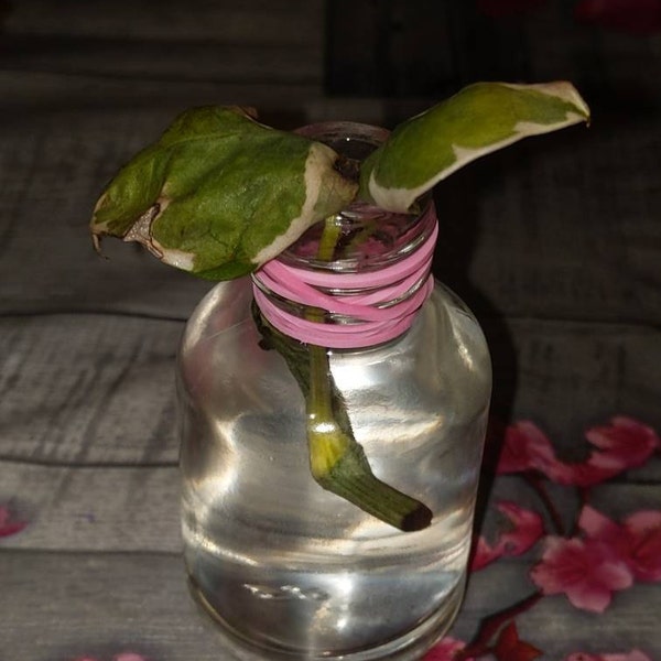 Day & Night Time Sees All Painting - Hand Painted by Mackenzie Ganey - Etsy