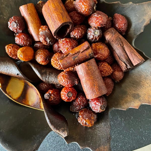 Harvest Putka Pods Multicolored Blend Scented/unscented. Handpicked and ...