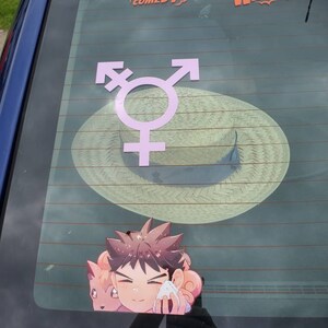 Car Window Decal for Wheelchair Vans With Lift or Ramp Don't Block the ...