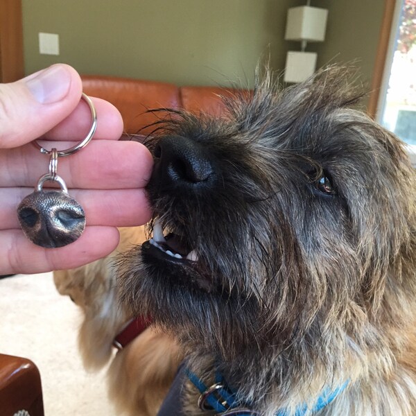 Custom Order Express Shipping Small Dog Nose - Etsy
