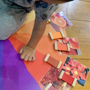 Fruit and Vegetables Safari Toob Montessori 3-part Cards for Safari ...