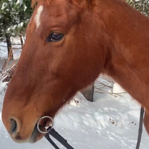 Soft, Natural, Vegetable Tanned Leather, No Bridle Bit for Your Horse ...