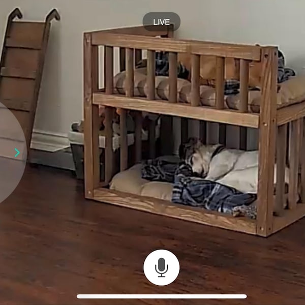 Gifts for Pets -elevated Dog Bed Furniture, Raised Dog Bed, Dog Ramp ...