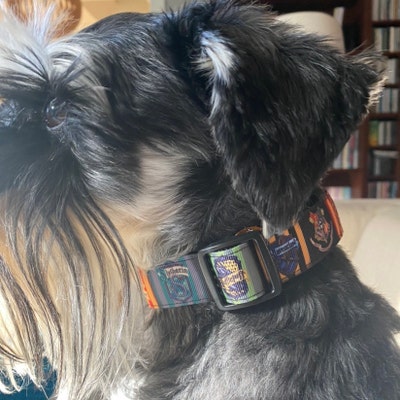 Wizarding Dog Collar, Wizard House Dog Collar, Magic Dog Collar, HP Dog ...