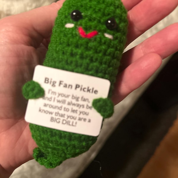 Emotional Support Pickle,positive Pickle,big Fan Pickle,handmade ...