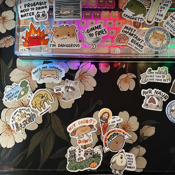 Please Slow Down Shooting Star Funny Sticker Possum Sticker Gifts Under ...