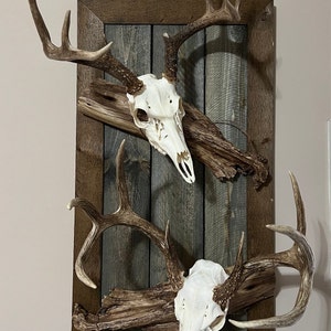 Vertical Double Euro Plaque - Etsy
