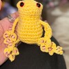 Beaded Fidget Frog Crochet Pattern: Beginner Friendly, No Sew, Sensory ...