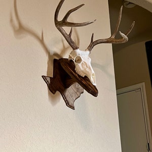 Euro Mount Pedestal arrowheadstained - Etsy