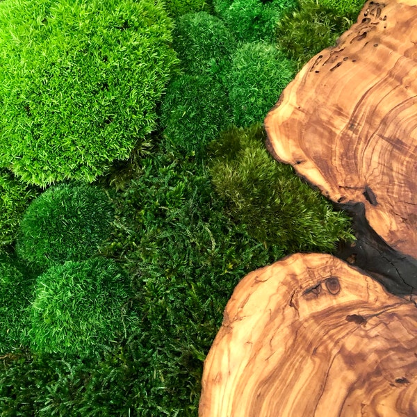 Moss Picture Ball Moss Solid Wood Frame Oiled Oak Moss Landscape - Etsy