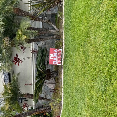 Texas State Bound Sign Texas State Bobcats Bound TXST Bound Graduation ...