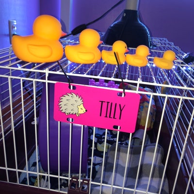 Personalized Hedgehog Name Plate / Hedgehog Sign / Cage Accessory ...
