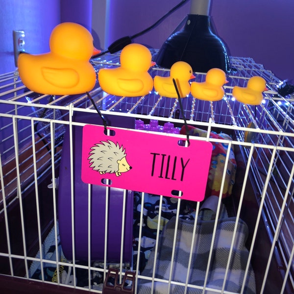 Personalized Hedgehog Name Plate / Hedgehog Sign / Cage Accessory ...